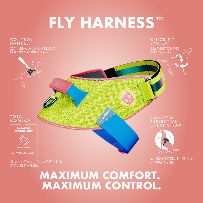 760320 Reebok COURT FLY HARNESS S(2) リーボック コート フライハーネス S – zee.dog Japan