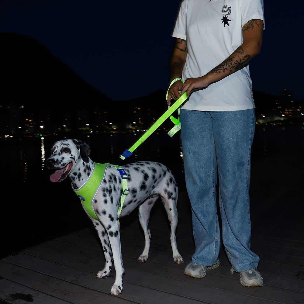 999240 NOX LUMEN LEASH XS ノックス ルーメン リード XS – zee.dog Japan