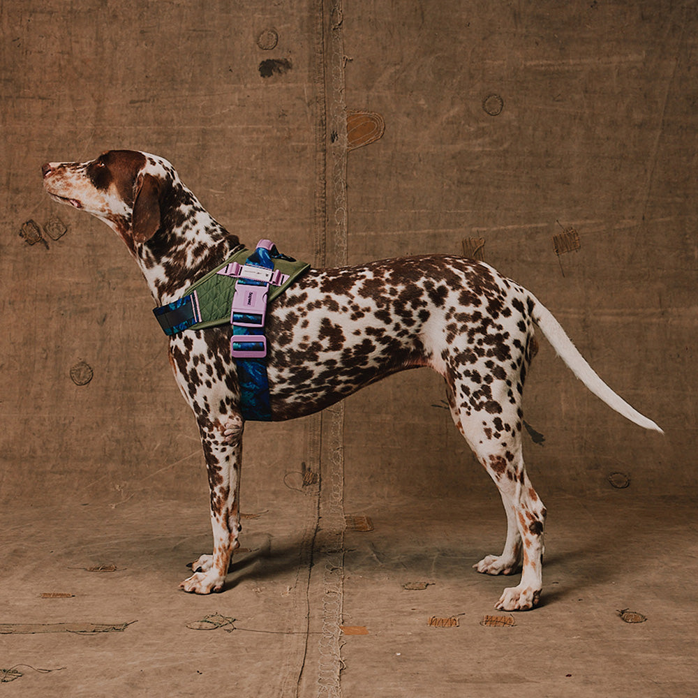 760325 Reebok TREKK FLY HARNESS S(2) リーボック トレック フライハーネス S – zee.dog Japan